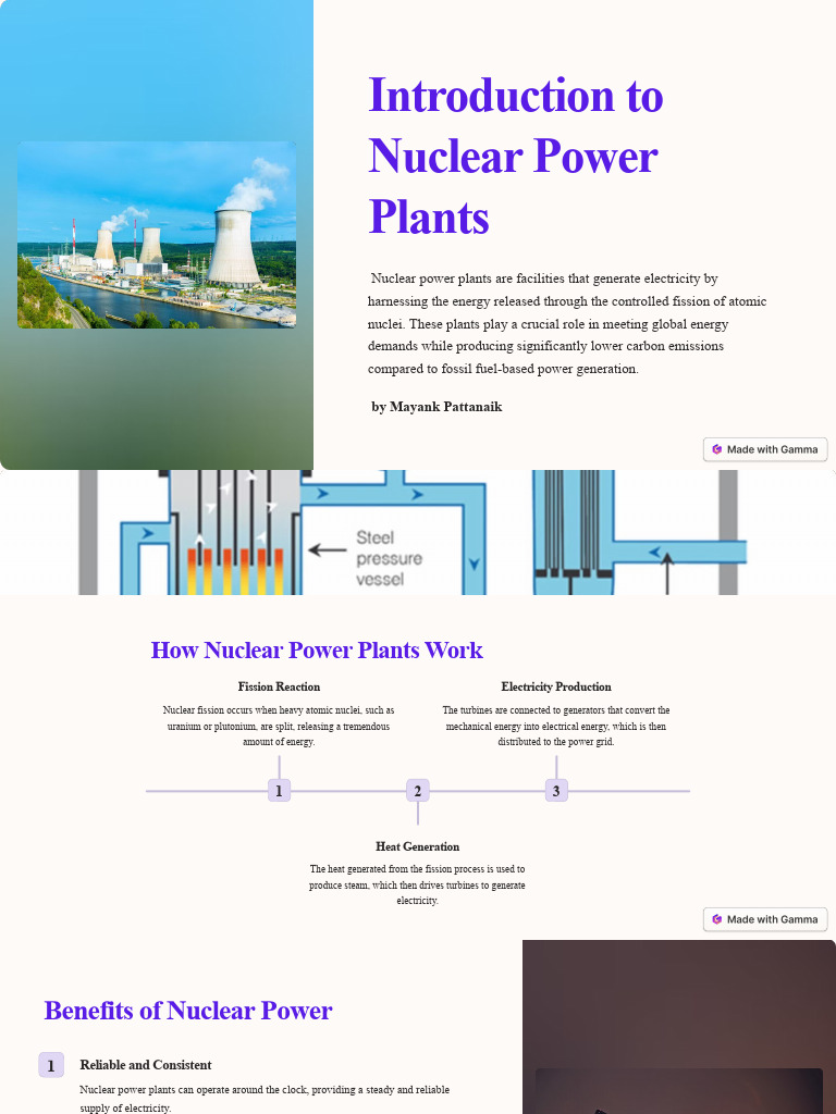 Introduction To Nuclear Power Plants | PDF | Nuclear Power ...