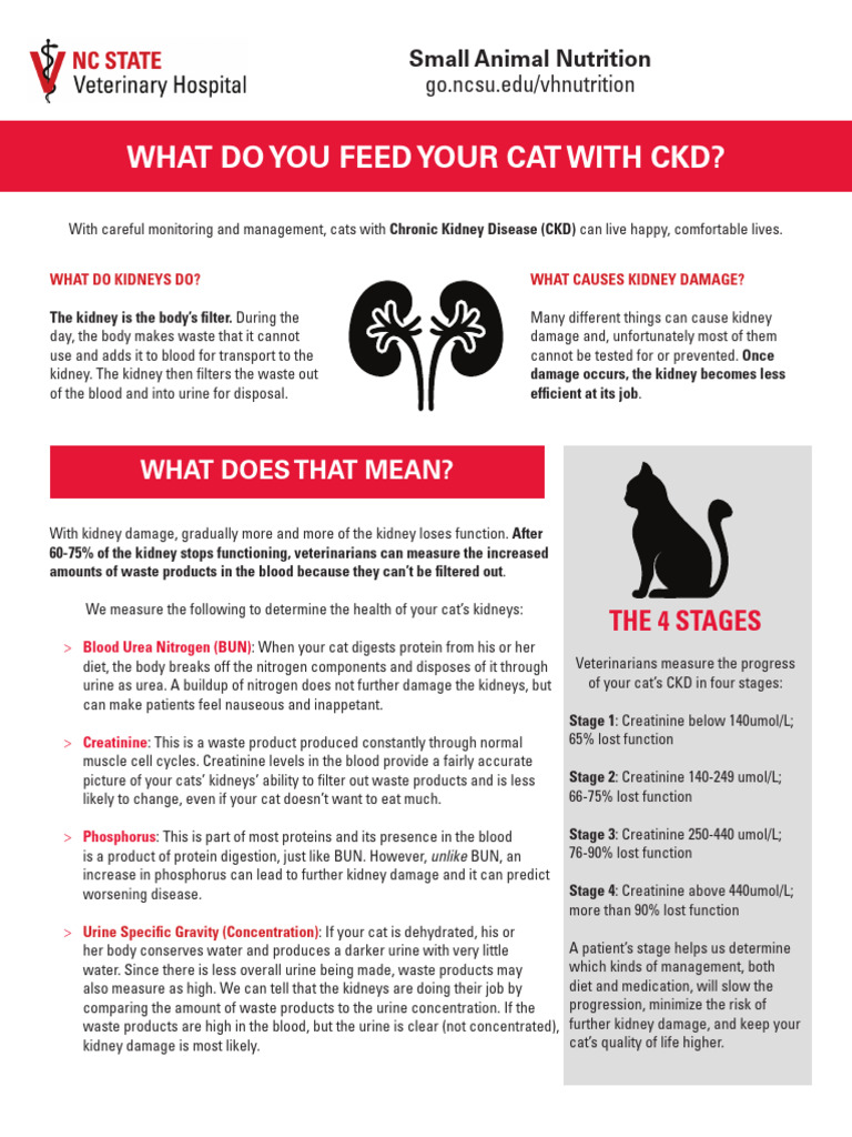 Cats Chronic Kidney Disease 2 15 21 | PDF | Chronic Kidney Disease | Creatinine