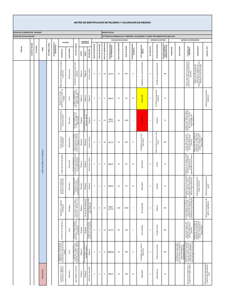 MATRIZ IDENTIFICACION DE PELIGROS Y VALORACION DE RIESGOS New | PDF | Medicina CLINICA ...