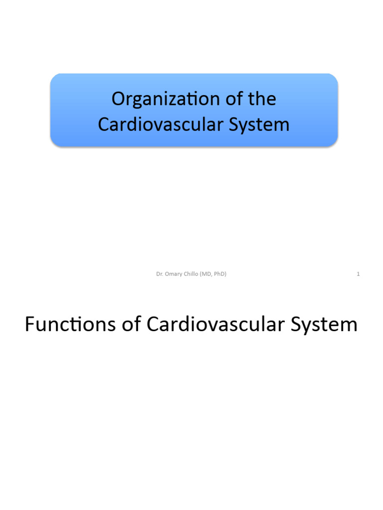 L1. Organization of The CVS - 2019 | PDF | Action Potential | Heart