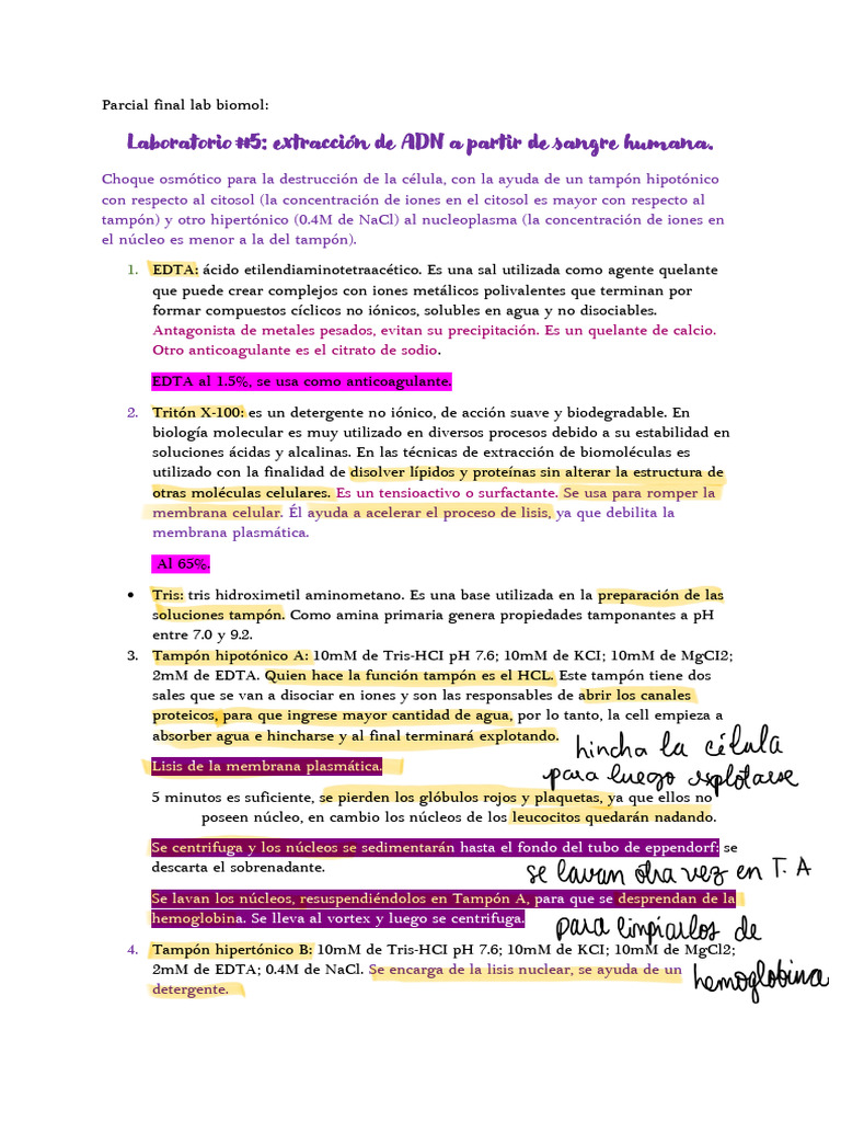 Parcial Final Biomol | PDF | Reacción en cadena de la polimerasa | Adn