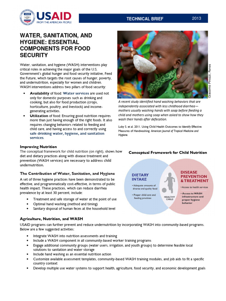 Water, Sanitation, and Hygiene - Essential Components For Food Security ...