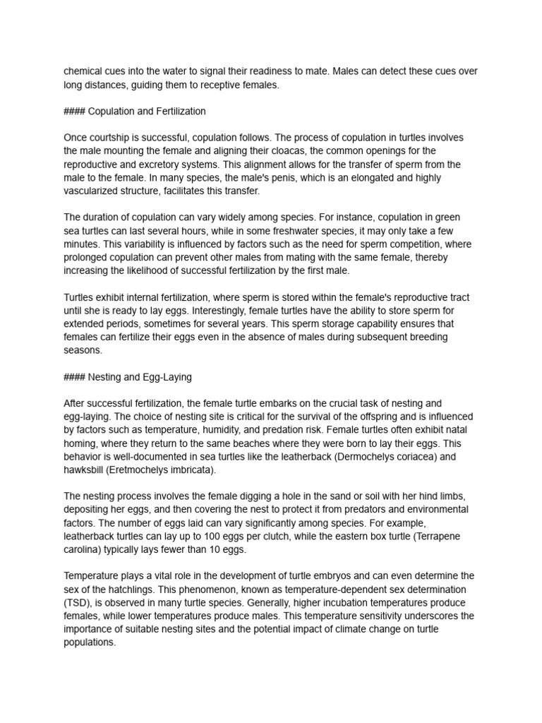 Turtle Mating Rituals - An In-Depth Examination (Dragged) 2 | PDF ...