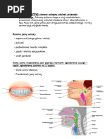 Anatomia I Fizjologia Wątroby | PDF