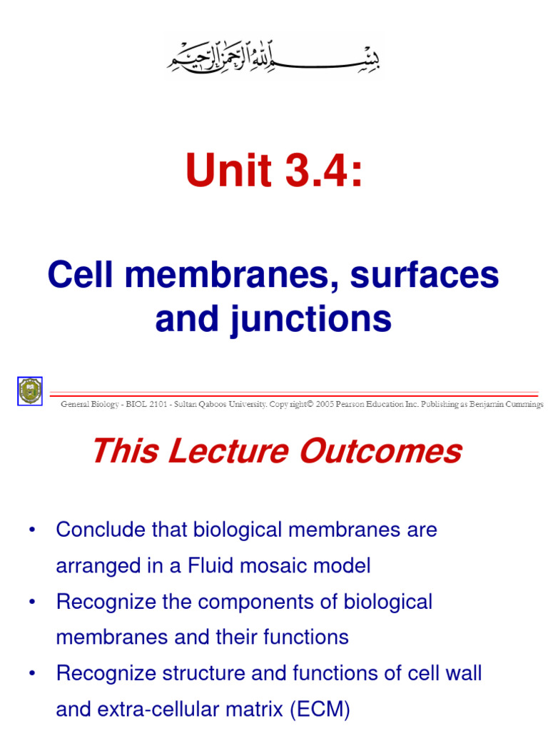 Student Unit 3.4 Cell Membranes, Surfaces and Junctions | PDF | Cell ...