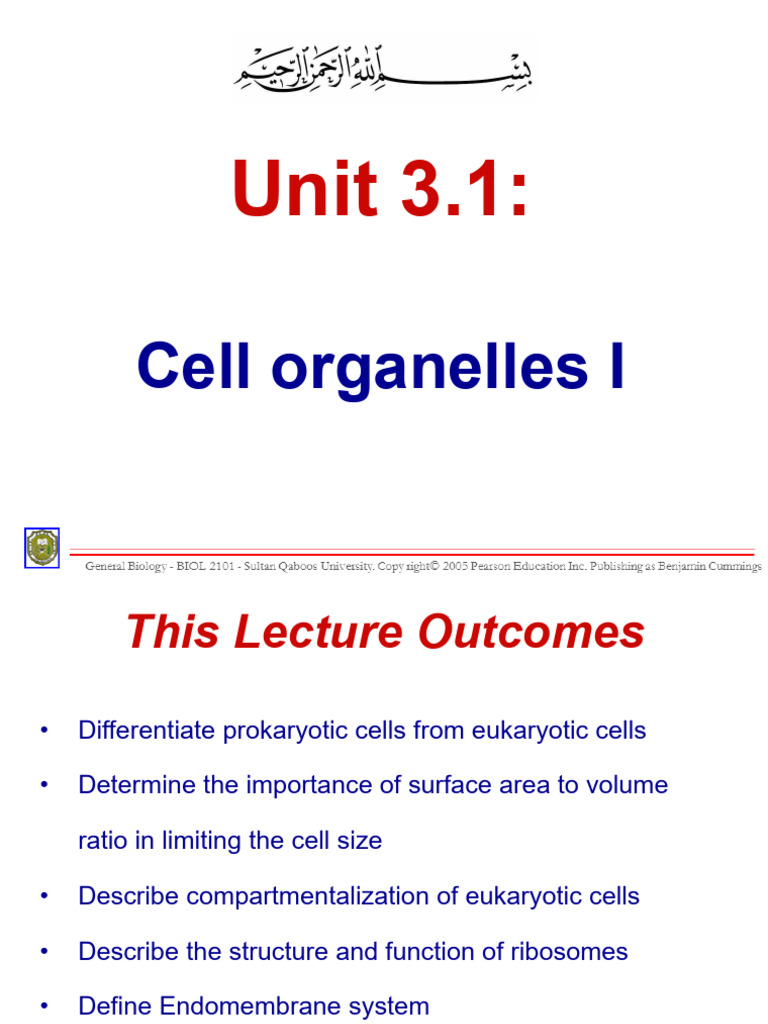 Student Unit 3.1 Organelles 1 | PDF | Endoplasmic Reticulum | Cell ...