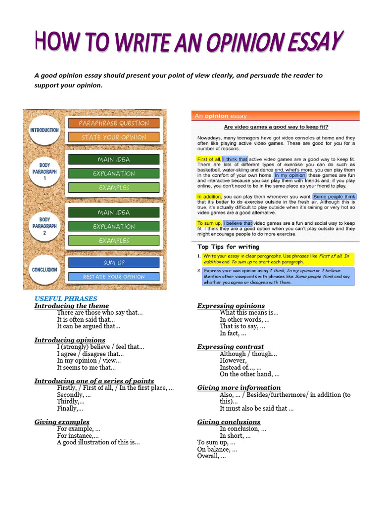 Opinion Essay Writing Guide | PDF | Foreign Language Studies