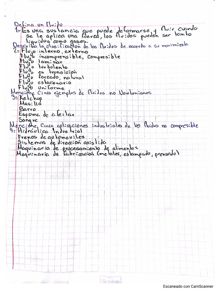 EXAMEN | PDF