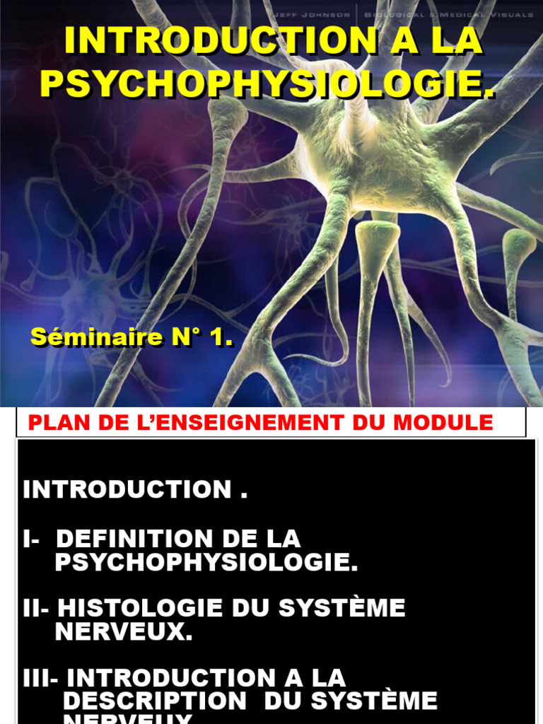 Introduction à la Psychophysiologie | PDF | Neurone | Système nerveux