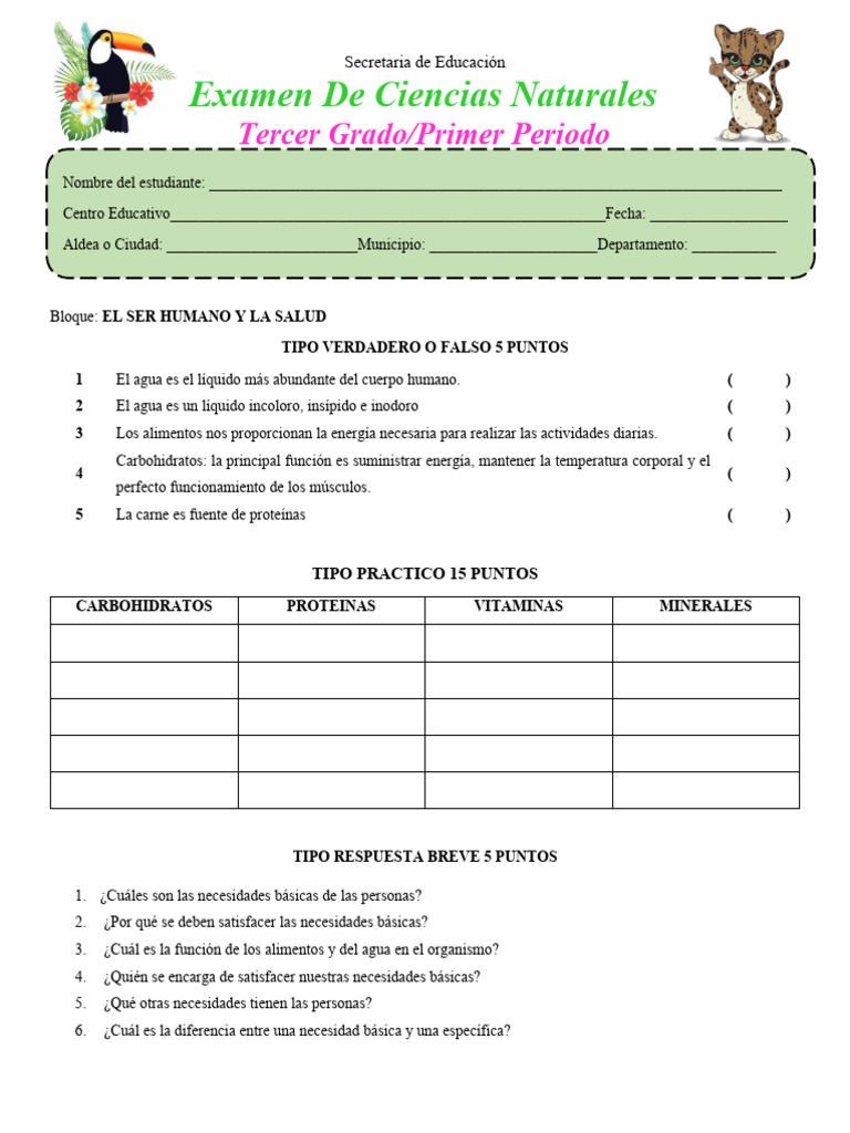 Examen CCNN 3 Grado | PDF | Agua | Alimentos