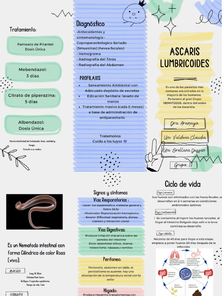 Triptico Ascariiis Español | PDF