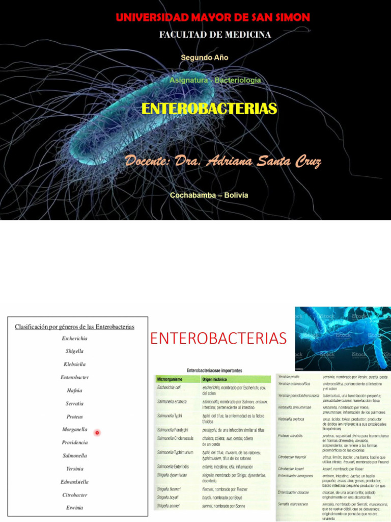 ENTEROBACTERIAS | PDF