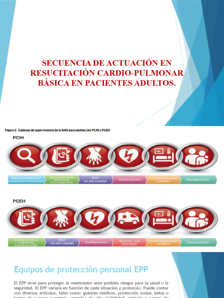 Algoritmo RCP Basico Adulto | PDF | Reanimación cardiopulmonar ...