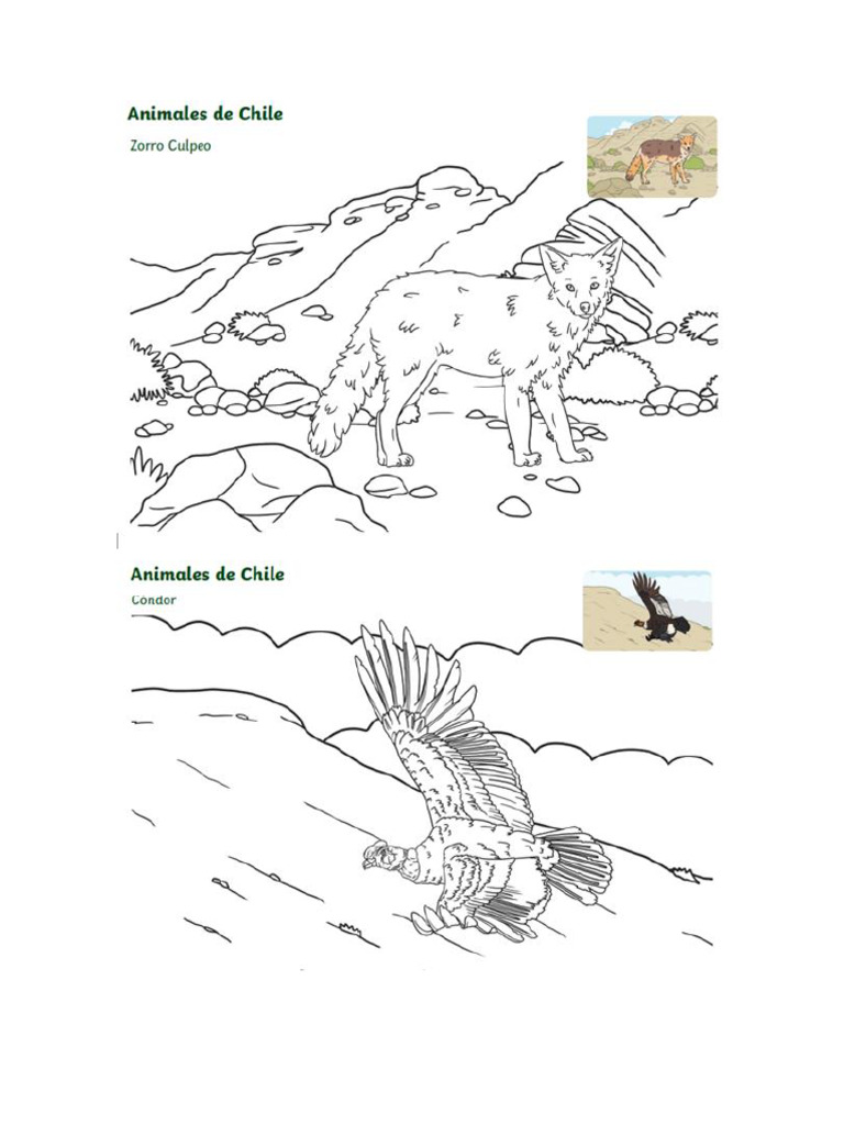 Flora y Fauna de Chile | PDF