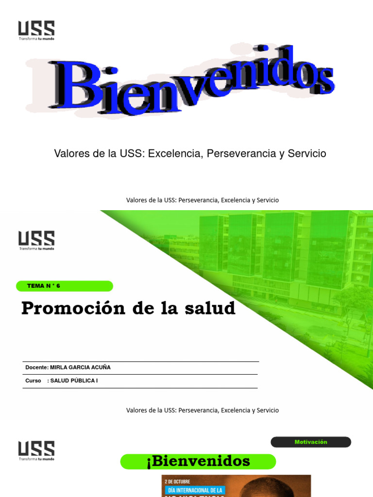 Tema N ° 6 Promocion D Ela Slaud | PDF | Promoción de la salud | Salud ...