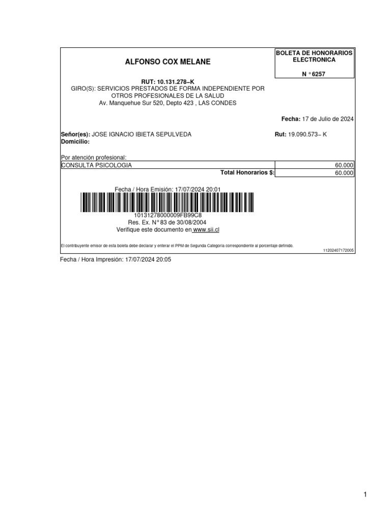 Boleta Honorarios Alfonso Cox 2024 | PDF