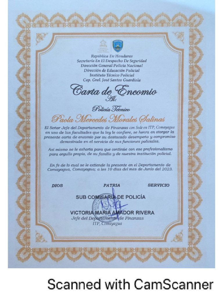 Carta de Encomió | PDF