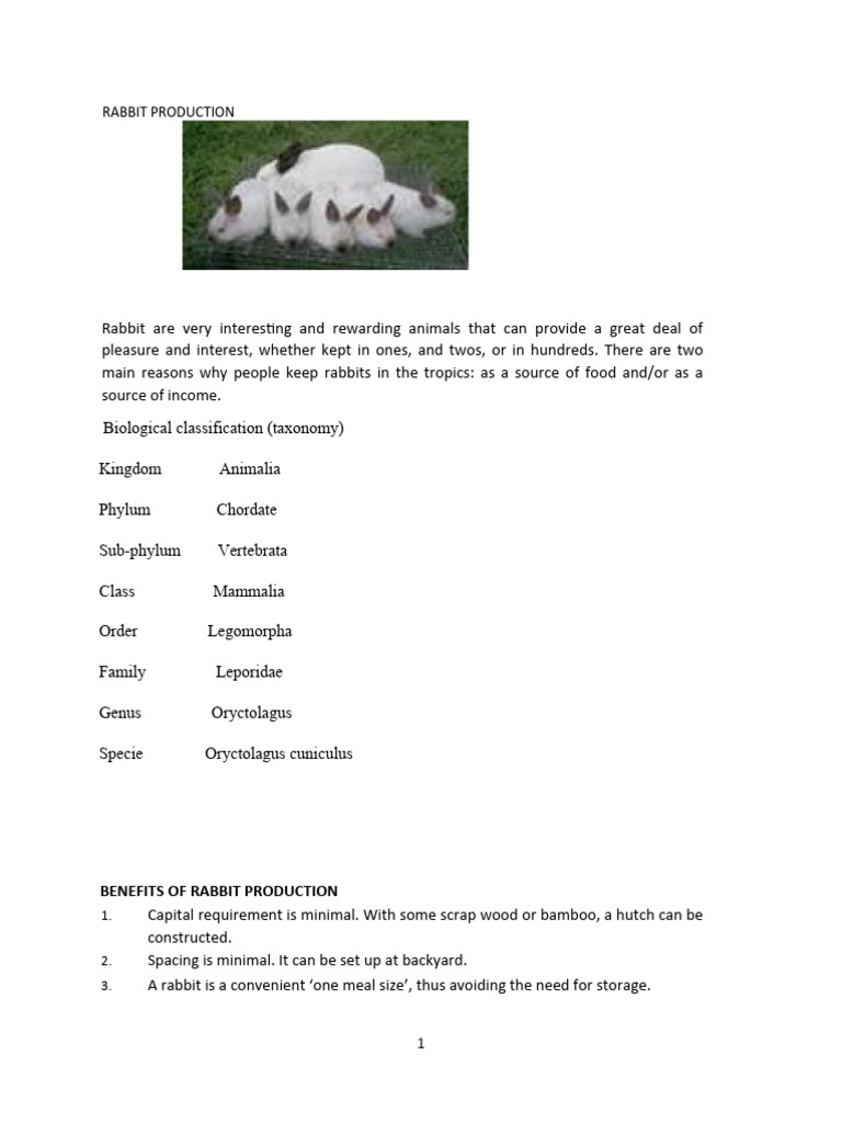 Rabbit Taxonomy and Production Guide | PDF | Feces | Rabbit