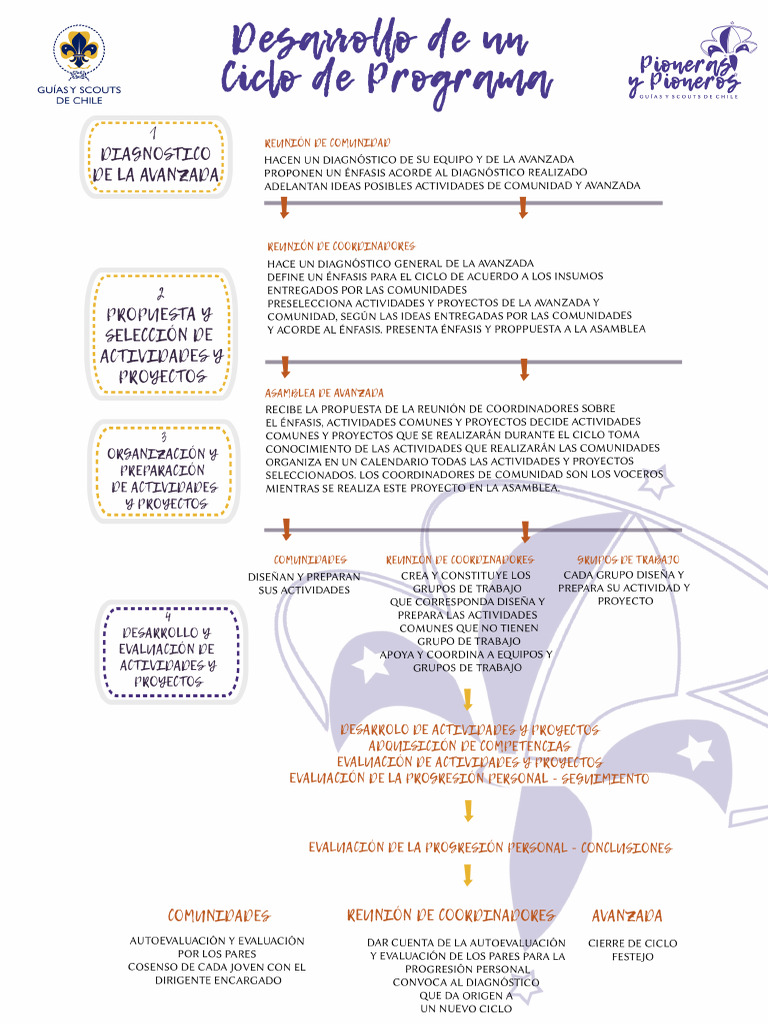Resumen Desarrollo Ciclo de Programa | PDF