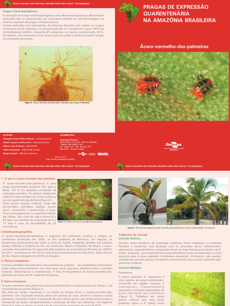 Controle do Ácaro-Vermelho-das-Palmeiras | PDF | Arecaceae | Coco