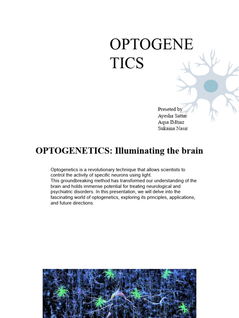 Optogenetics: Brain Control with Light | PDF | Biology | Life Sciences