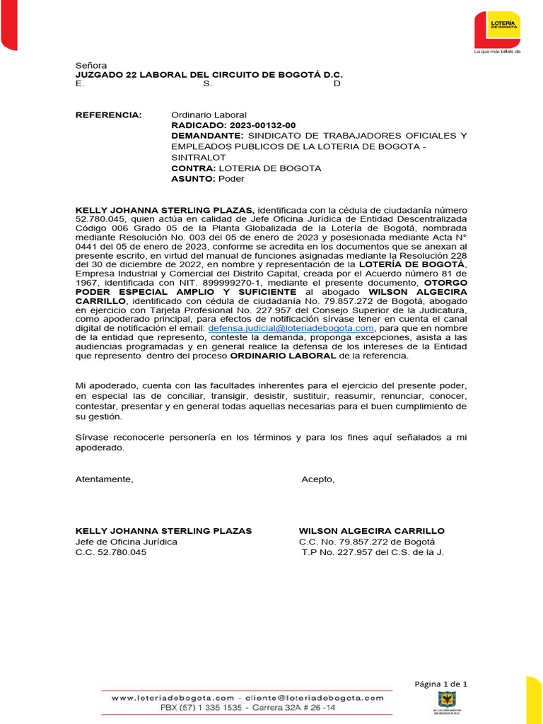 PODER LABORAL 2023-00132 | Descargar gratis PDF | Bogotá | Gobierno