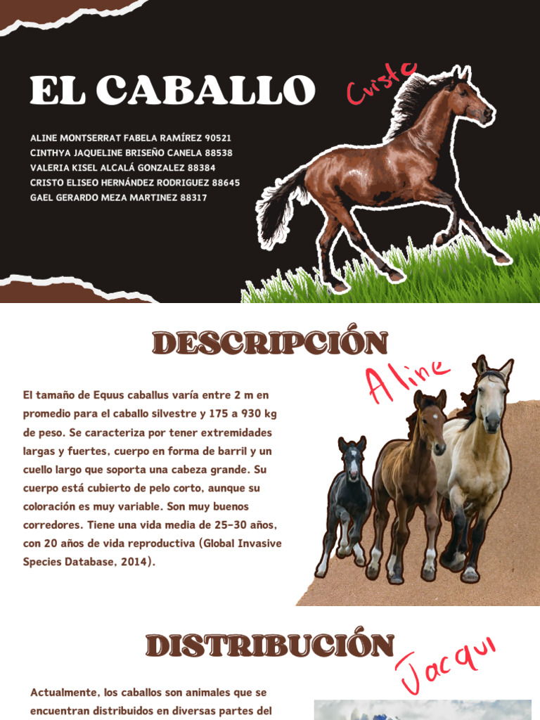 El Caballo | PDF | Caballos