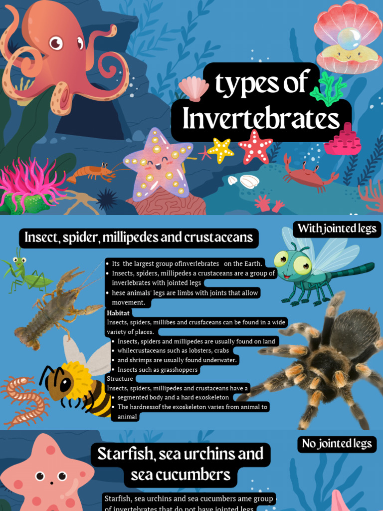 Overview of Invertebrate Types | PDF | Invertebrate | Crustacean
