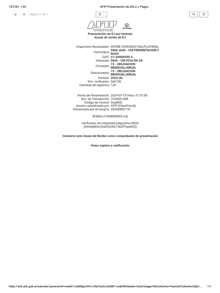 Presentación de DDJJ y Pagos 06.24 | PDF