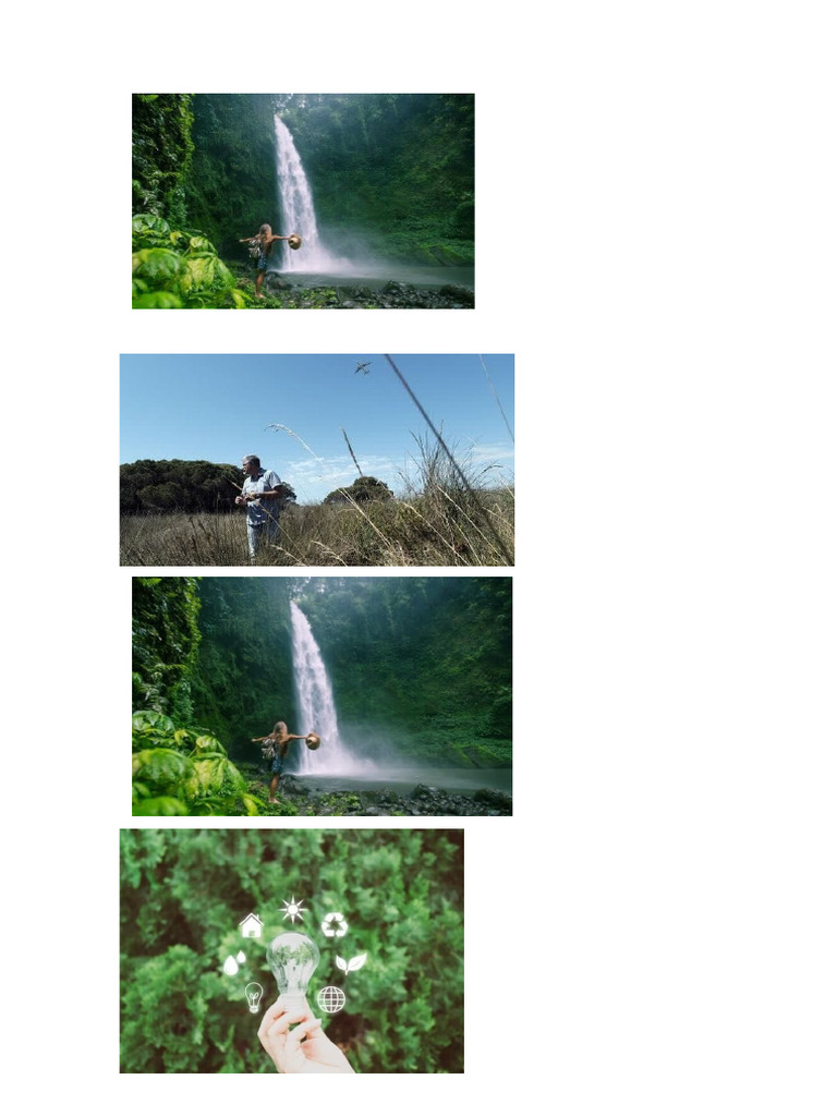 Semana 14 y 15 Ecologia Acel | PDF