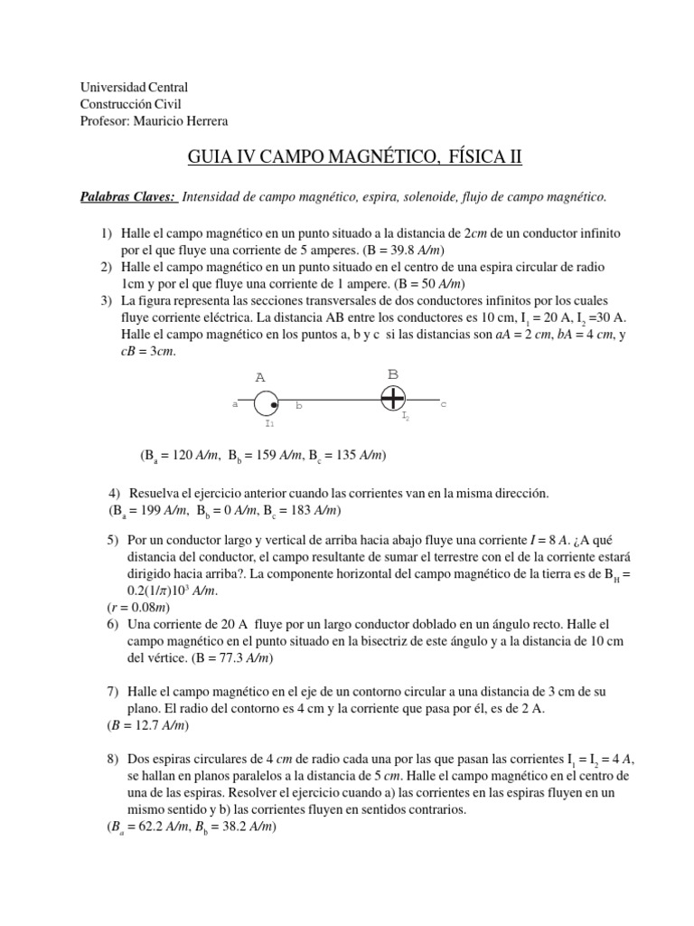 Guia 4 Fisica Campo Magnetico | PDF | Campo magnético | Inductor