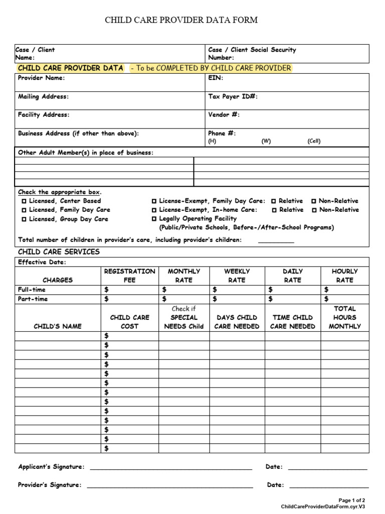 Childcareproviderdataform v3 | PDF | Child Care