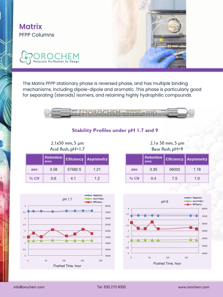 Matrix PFPP | PDF | High Performance Liquid Chromatography | Techniques
