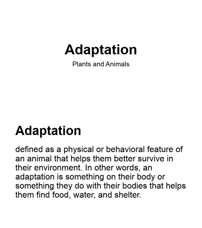Adaptations in Plants & Animals | PDF