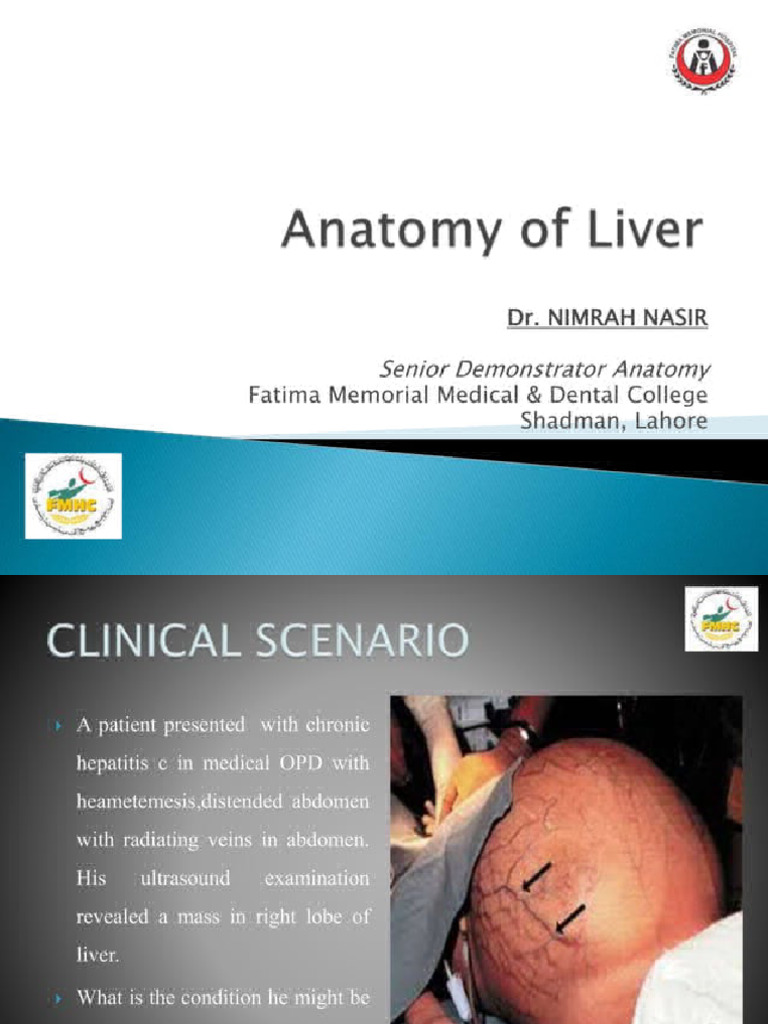 Anatomy of Liver Presentation 78503562 | PDF