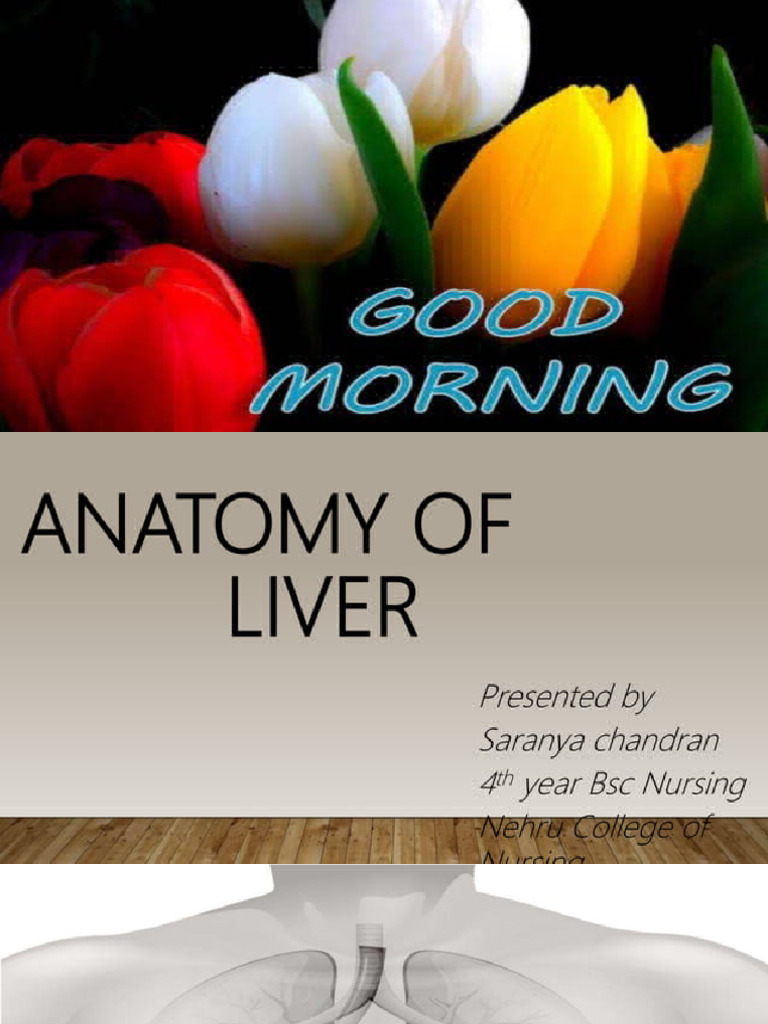 Anatomy of Liver 250990640 250990640 | PDF