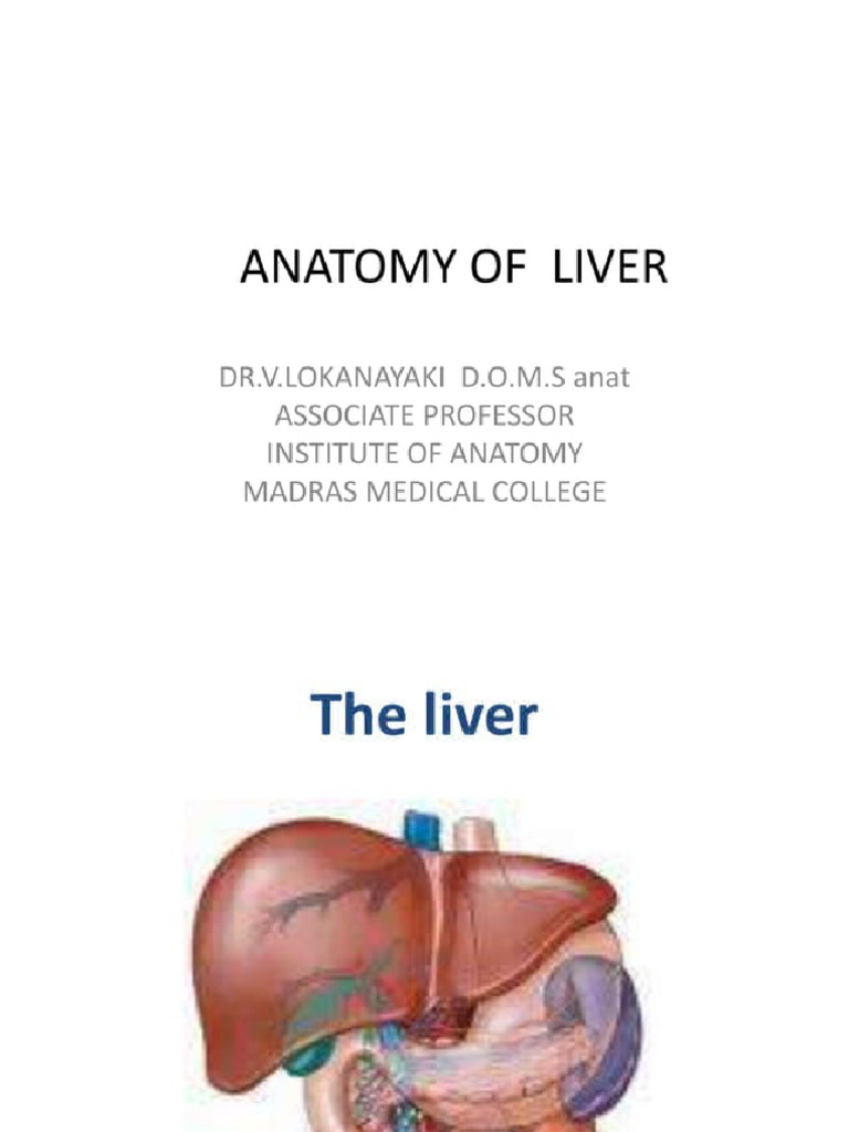 Anatomy of Liverppt 259019884 | PDF