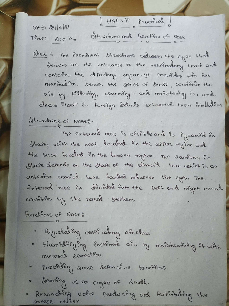 Hap 2 Practical | PDF