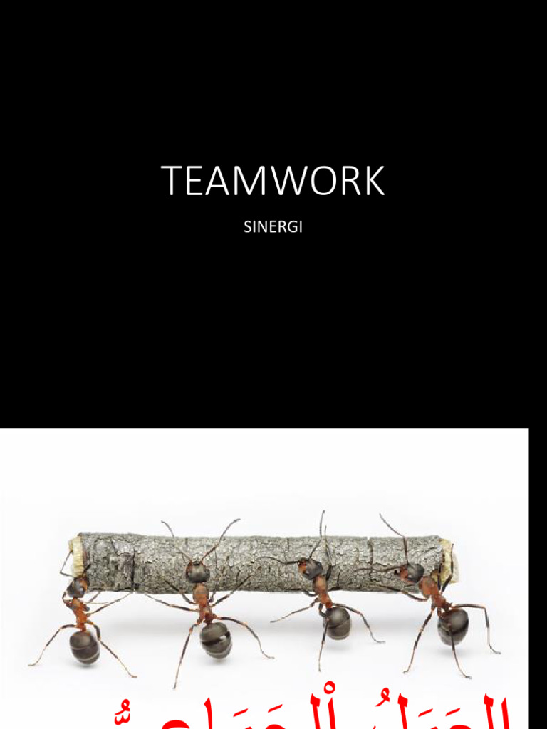 sinergi-TeamWork | PDF
