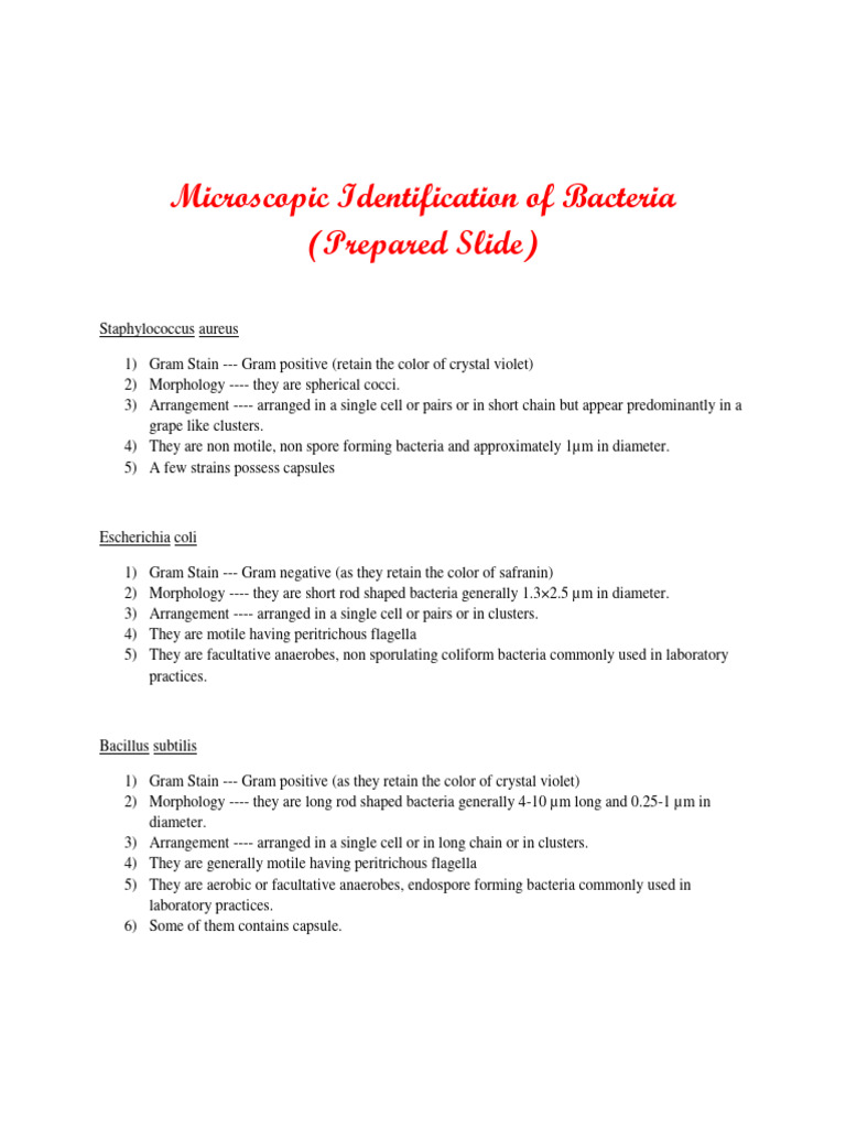 Microscopic Identification of Bacteria (Prepared Slide) | PDF | Home ...