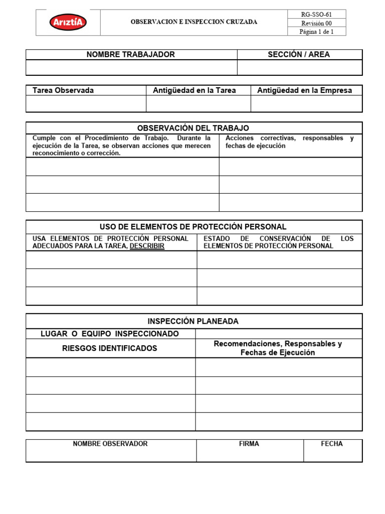 RG-SSO-60 Observacion e Inspeccion Cruzada | PDF