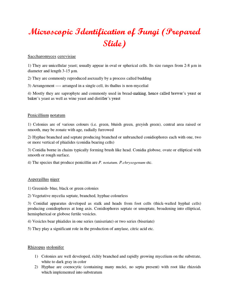 Microscopic Identification of Fungi - PDF | PDF