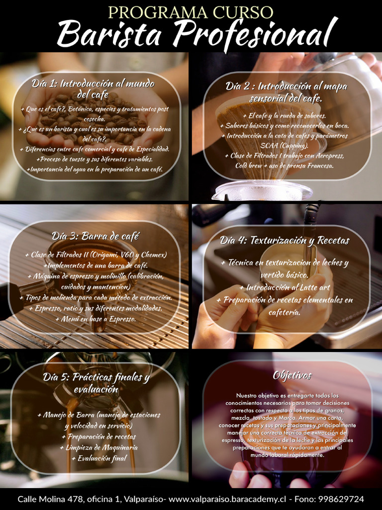 programa-barista-profesional | PDF