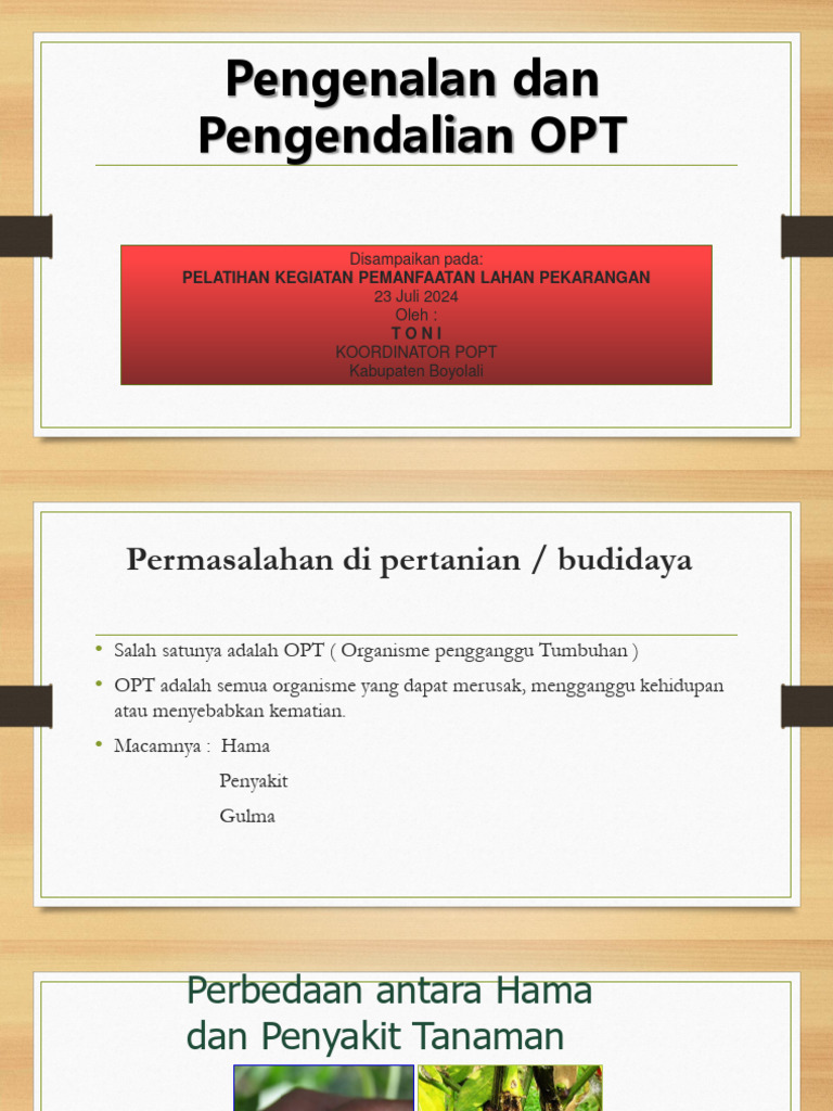Pengenalan Pengendalian OPT 2024 - Keg P2L | PDF | Sains & Matematika