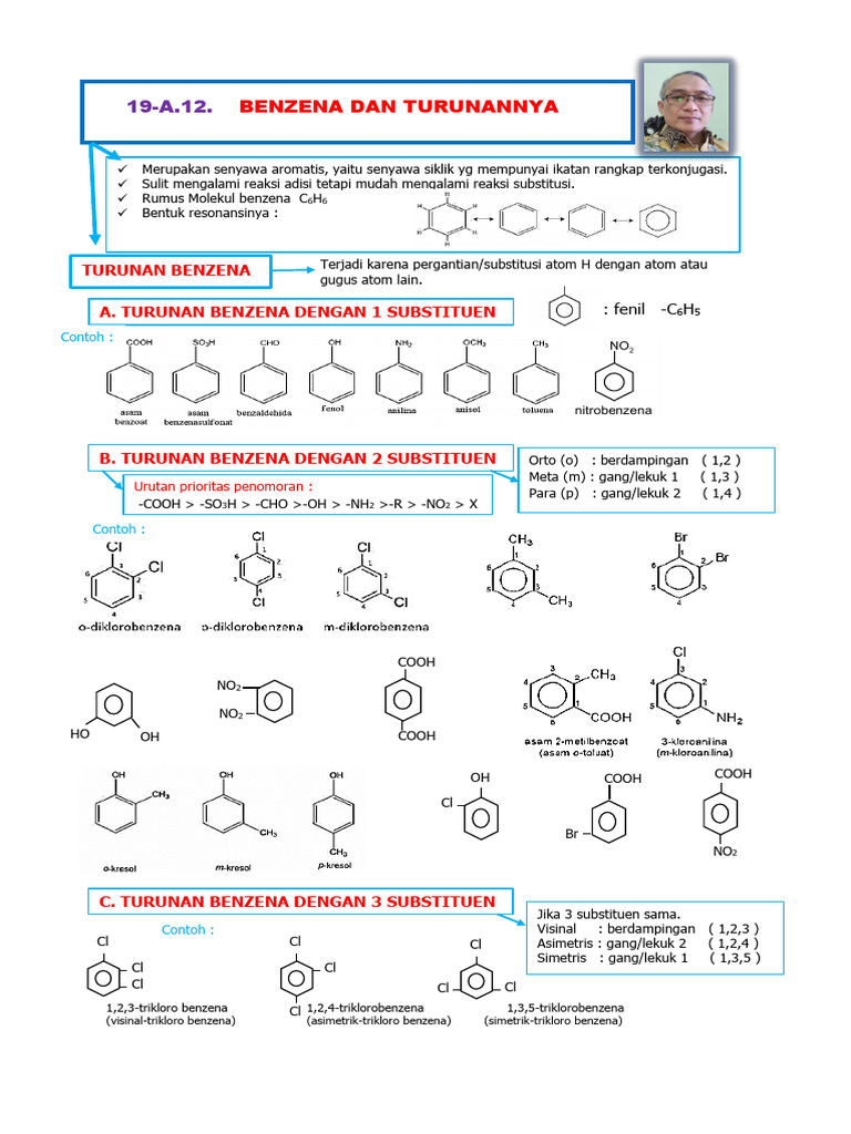 19-A.12 Benzena Dan Turunannya - Rev Ok + Utk Yad - 5 LBR | PDF