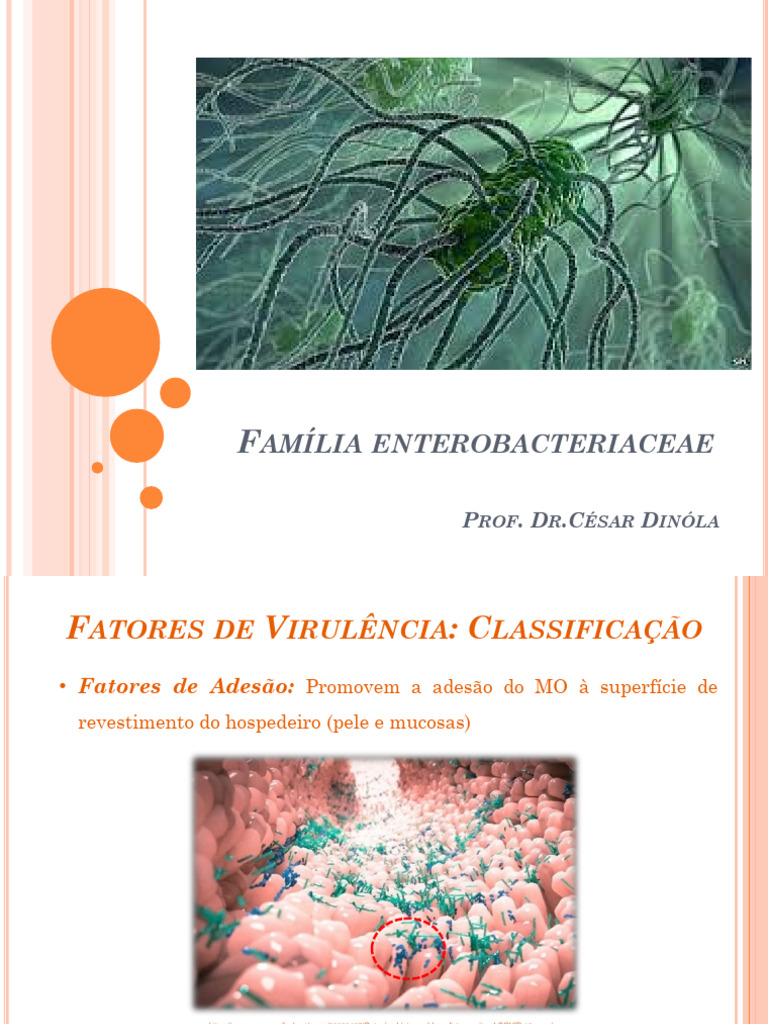 2_Família Enterobacteriaceae_Cesar Dinola_.pptx | Download grátis PDF ...