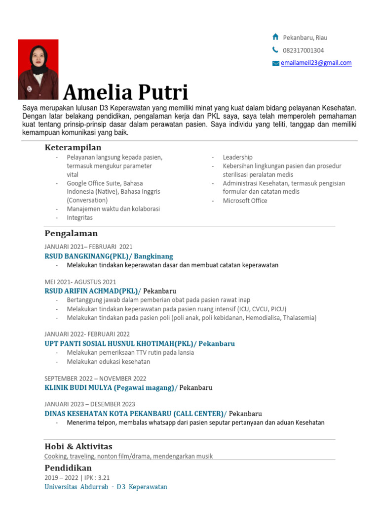 Profil Profesional Amelia Putri | PDF