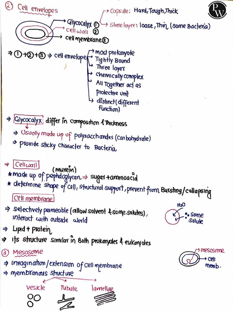 6651c24f8cfa6c0018f272c1_##_Cell - The Unit of Life Handwritten Notes ...
