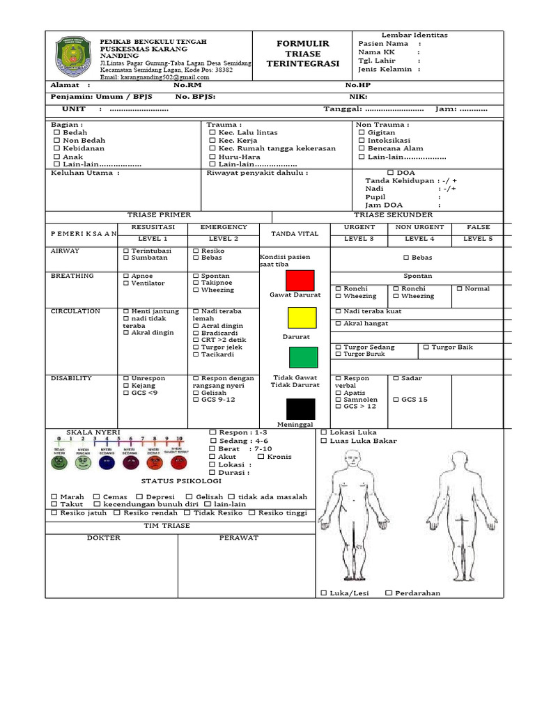 Formulir Triase Puskesmas Karang Nanding | PDF