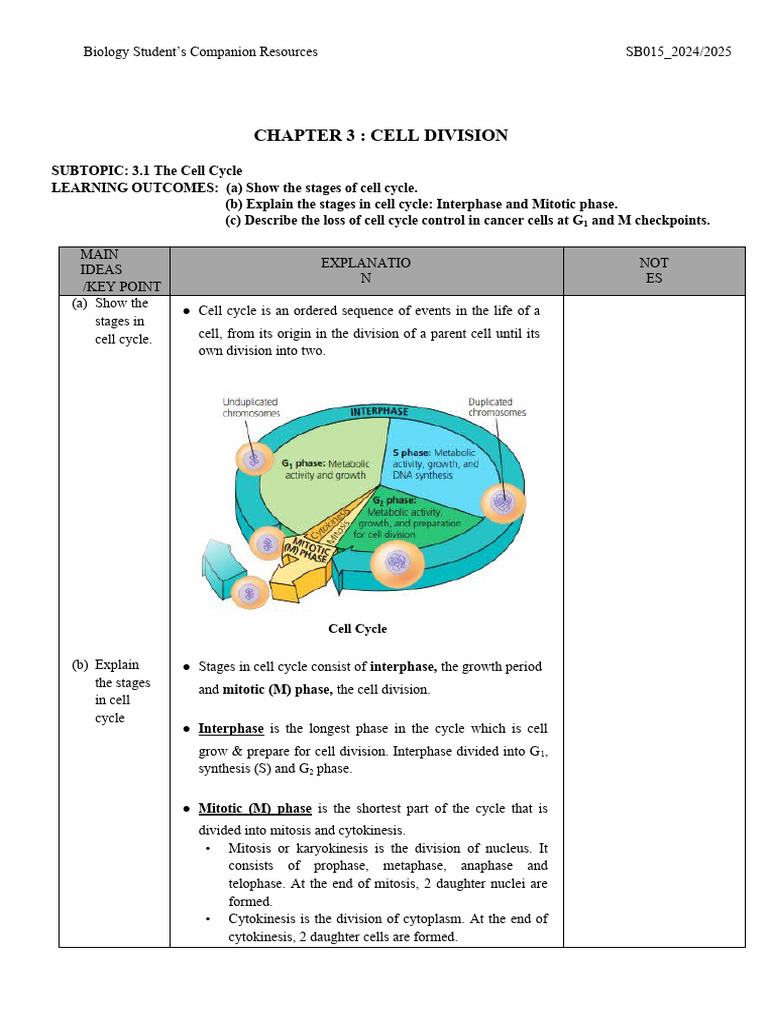 Cell Cycle Overview and Cancer Insights | PDF | Meiosis | Mitosis